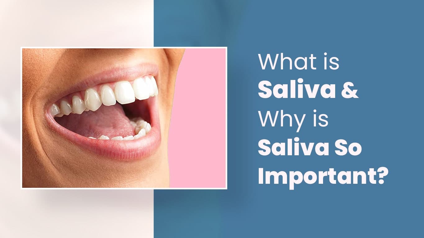 What Saliva Does and Why It’s So Important