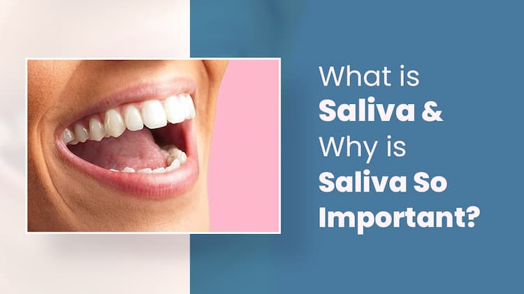 What Saliva Does and Why It’s So Important
